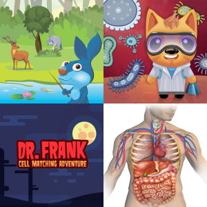 For Class: Multicellular Organisms and their Subsystems MS-LS1.A-3 ...