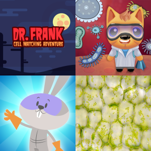 Student Lesson: Levels of Organization: Cells to Organisms 7.12C - Free ...