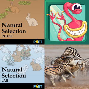 Worksheet: The Living Environment: Heredity and Diversity K2.Sci.LS.2 ...