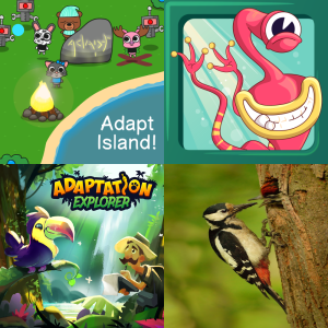 Free Educational Games: Physical Adaptations - Free Educational Games ...