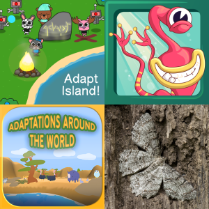 Practice: Adaptation 3.LS4.2 - Free Educational Games - Legends of Learning