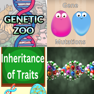 Student Lesson: Understanding Gene Mutations Assignment - Free Games ...