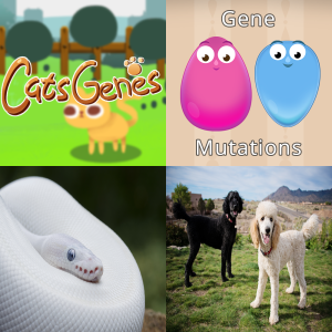 Student Lesson: Genes and Traits MS-LS3.A-1 Assignment - Free Games and ...
