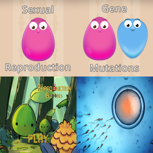 Lesson: Sexual Reproduction and Genetic Variation 7.13C - Free Games ...