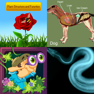 Free Lesson: Animal Structure and Function 3.LS1.1 - Free Educational ...