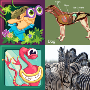 Free Lesson: Differences Within Species 3.LS.2 - Free Educational Games ...