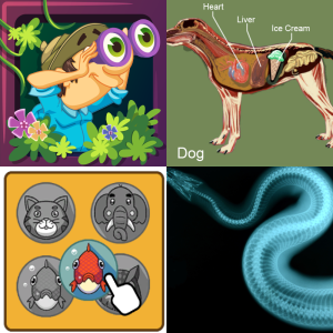 Free Homework Prep: Animal Structure and Function ES-LS1.A-1b - Free ...