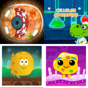 Free Educational Games: Structures and Functions of Plant and Animal ...