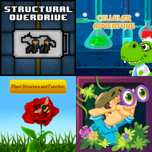 For Class: Survival of Singular vs Multicellular Organisms 5.L.1.1 ...