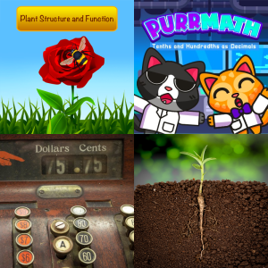 Free Educational Games: 4th Grade Plant Structure and Function ES-LS1.A ...