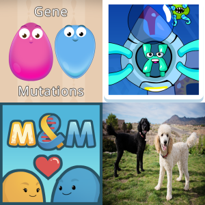 Free Lesson: Mutations 3.1.7.C2-1b - Free Games and Assessments ...