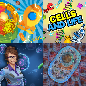 Practice: Prokaryotic and Eukaryotic Cells - Free Games and Assessments ...