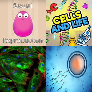 Free Lesson: Sexual Reproduction and Genetic Variation MS-LS3.B-1 ...