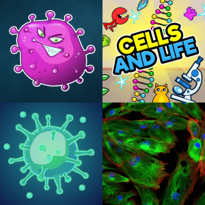 Teaching Plan: Cells and Life MS-LS1.A-1 - Free Games and Assessments ...
