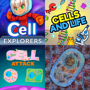 For Class: Structures and Functions of Single Celled Organisms 7.L.1.1 ...