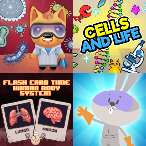 Student Lesson: Hierarchical Organization of Multicellular Organisms 7 ...