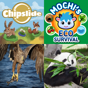 Lesson: Flow of Energy in the Food Chain 5.9B - Free Educational Games ...