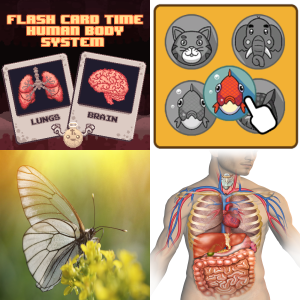Free Educational Games: Human Organs Functions SC.5.L.14.1 - Free ...