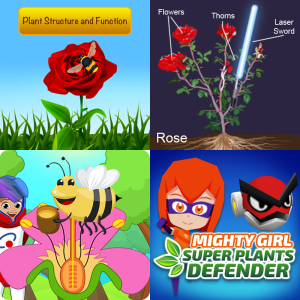 Practice: Playlist - Plant Structure and Function - Free Games and ...
