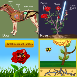 Lesson: Classification of Organisms 5.5b - Free Educational Games ...