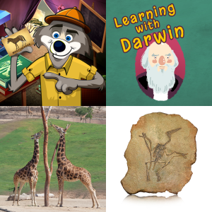 Free Lesson: Reconstructing Evolutionary History Using Fossils MS-LS4.A ...