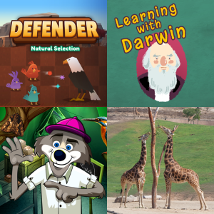 For Class: Natural Selection MS-LS4.B-1 - Free Games and Assessments ...