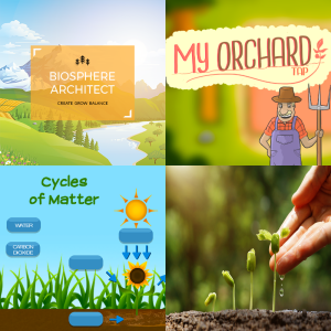 Lesson: Cycling Of Matter In Ecosystems 5.3.1 - Free Educational Games ...