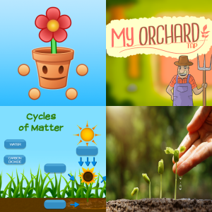 For Class: Plant Growth - Free Games and Assessments - Legends of Learning