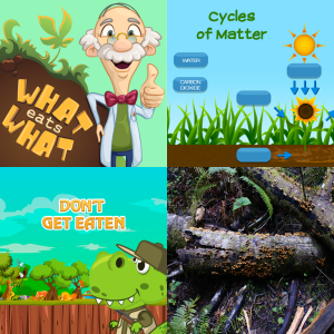 For Class: Cycles of Matter and Energy Transfer in Ecosystems ES-LS2.B ...