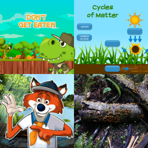 Worksheet: Cycles of Matter and Energy Transfer in Ecosystems ES-LS2.B ...