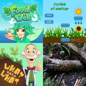 Practice: Cycles of Matter and Energy Transfer in Ecosystems ES-LS2.B-1 ...