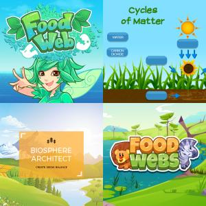 For Class: Cycles of Matter and Energy Transfer in Ecosystems LS2.B-1 ...