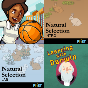 Free Educational Games: Natural Selection MS-LS4.B-1 - Free Games ...