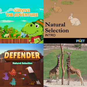 Teaching Plan: Natural Selection MS-LS4.B-1 - Free Games and ...