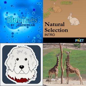 Teaching Plan: Natural Selection and Selective Breeding 7.11C - Free ...