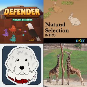 Free Educational Games: Natural Selection and Selective Breeding 7.11C ...