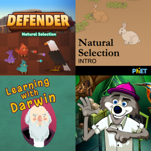 Free Educational Games: Natural Selection 8th grade - Free Games and ...