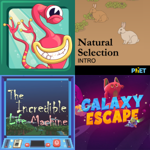 Practice: Genetic Variation, mutation and natural selection - Free ...