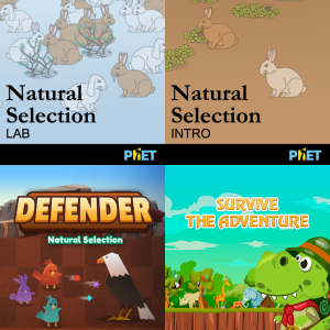 Worksheet: Natural Selection MS-LS4.B-1 Assignment - Free Games and ...