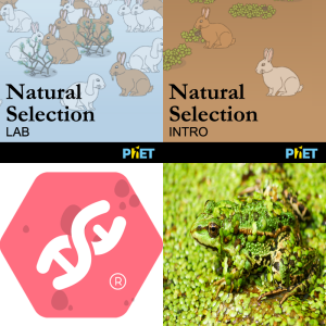 Free Lesson: Mutation, Adaptation, Natural Selection, and Extinction LS ...