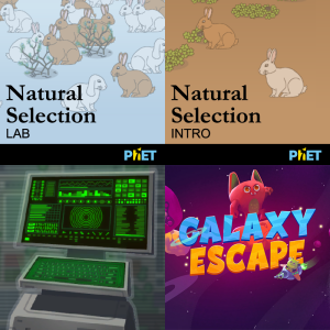 Lesson: Contributions of Genetic Variation and Environmental Factors to ...