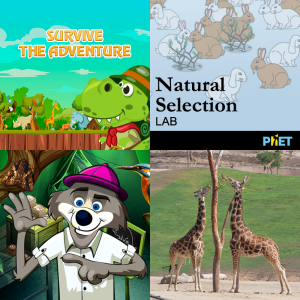 For Class: Natural Selection MS-LS4.B-1 - Free Games and Simulations ...
