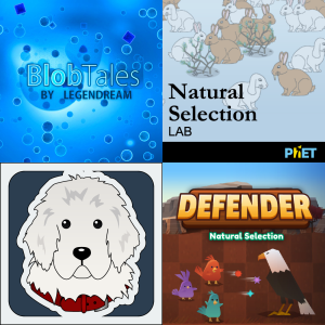 For Class: Natural Selection and Selective Breeding 7.11C Assignment ...