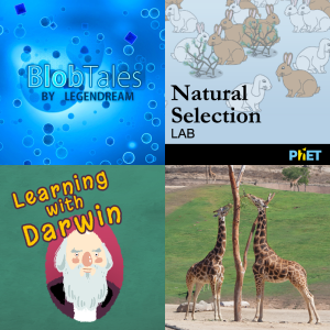 Free Educational Games: Natural Selection MS-LS4.B-1 - Free Games and ...