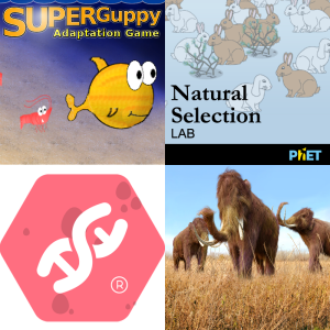 Free Educational Games: Mutation, Adaptation, Natural Selection, and ...