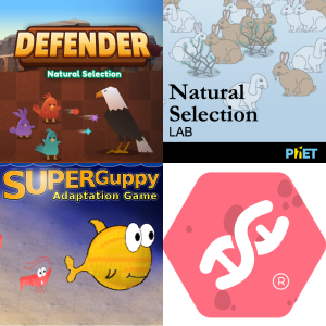 Student Lesson: Natural Selection and Selective Breeding 7.11C - Free ...