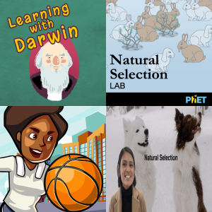 Worksheet: Natural Selection MS-LS4.B-1 - Free Games, Simulations ...