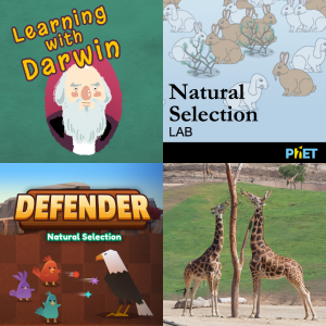 For Class: Natural Selection MS-LS4.B-1 - Free Games and Simulations ...