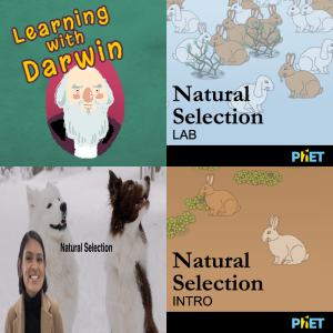 Lesson: Natural Selection MS-LS4.B-1 - Free Games, Simulations, and ...