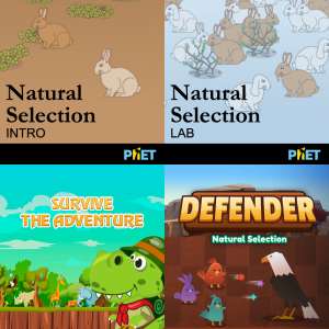Student Lesson: Natural Selection MS-LS4.B-1 - Free Games and ...